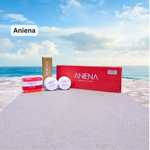 ANIENA BEAUTY SET 3 IN 1 & SERUM - MALAM ( NIGHT CREAM ) SIANG ( DAY ...