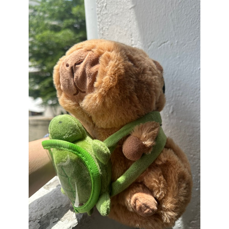 Capybara with Turtle Chalk Bag - RockClimbing / Bouldering | Shopee ...