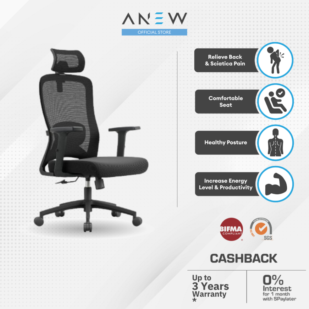 ANEW Stride Ergonomic Chair with Seat Backrest and Adjustable Lumbar ...