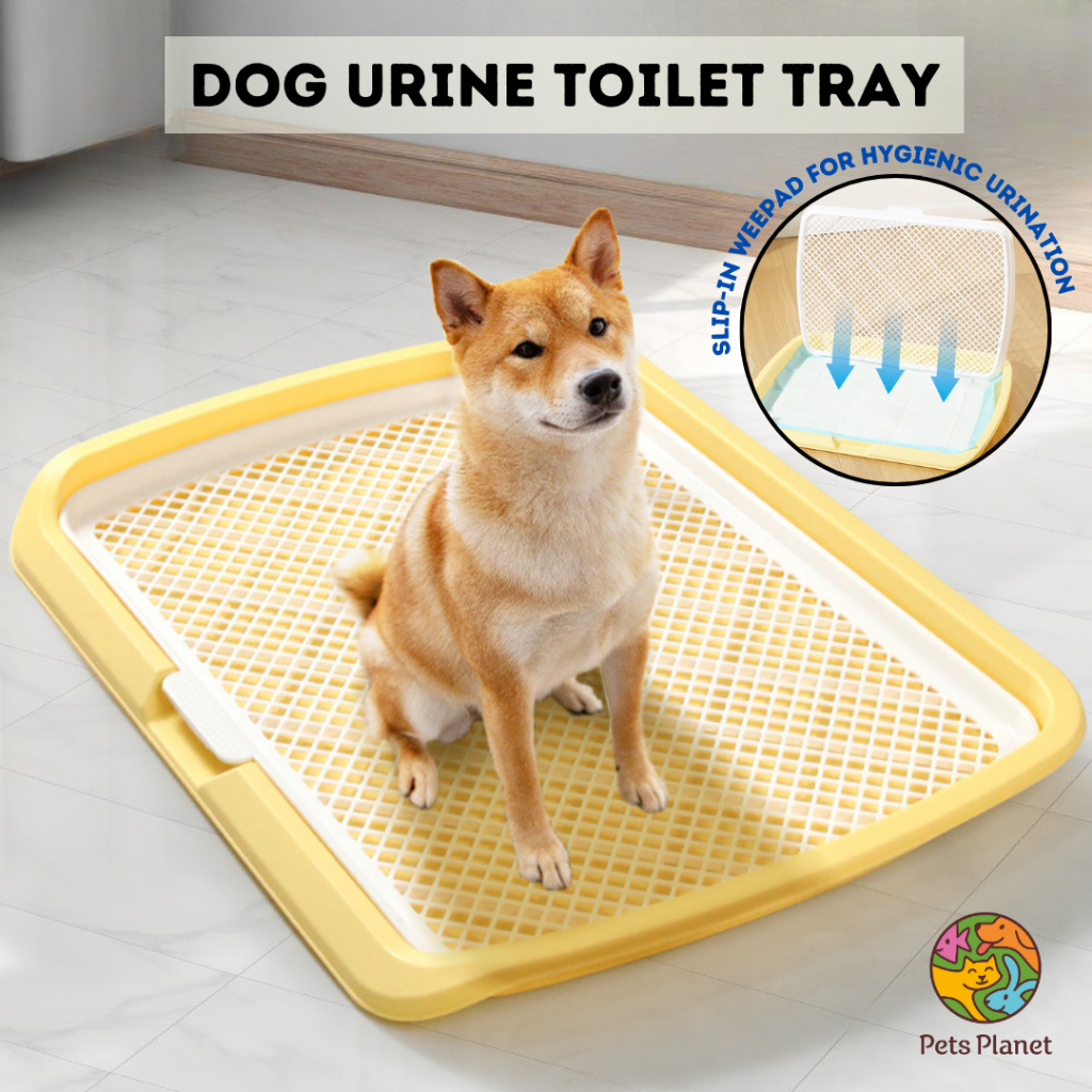 Dog Potty Training Toilet Plastic Dog Puppy Pee Pad Holder | Reusable ...