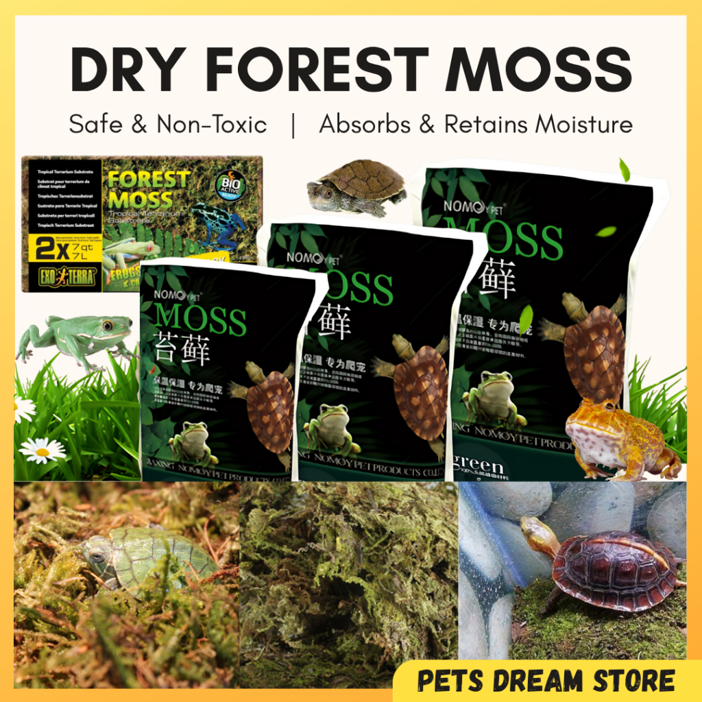 Dried Forest Moss Terrarium substrate reptile substrate reptile bedding ...