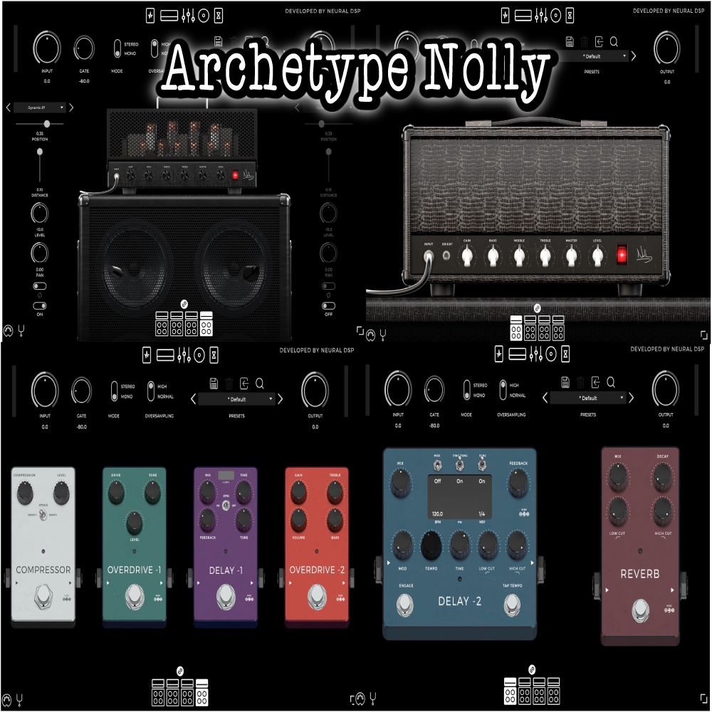 Neural Achertype Nolly 2.0 Guitar Fx Amp Cab VST AAX Plugins fow ...