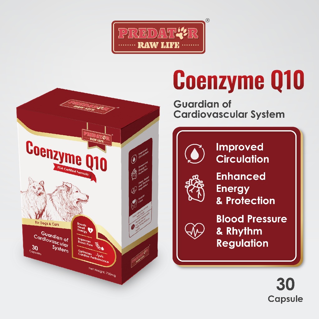 Predator Raw Life Coenzyme Q10 (30 capsule) for Cat and Dog Protect ...