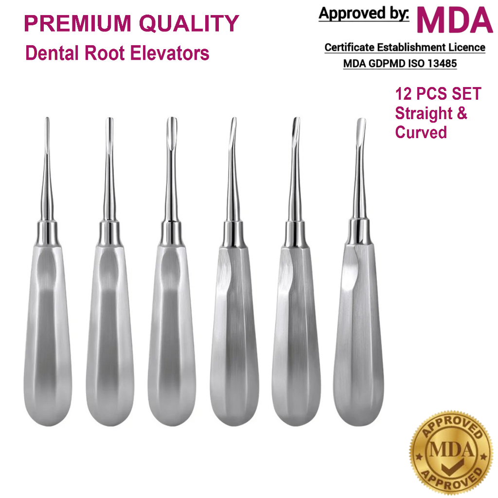 Dental Root Elevator Bein 12 PCS Set Straight & Curved | Stainless Steel Gigi Dental Hand Tools ...