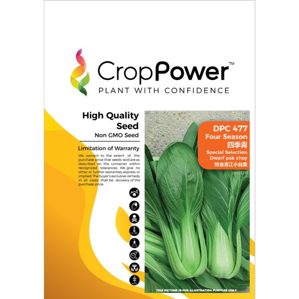 Benih Pak Choy DPC477 Four Season Special Selection Dwarf Pak Choy Crop ...