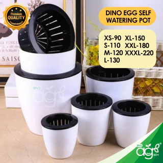 pasu bunga Malaysia, Best Deals December 2025 | Shopee Malaysia