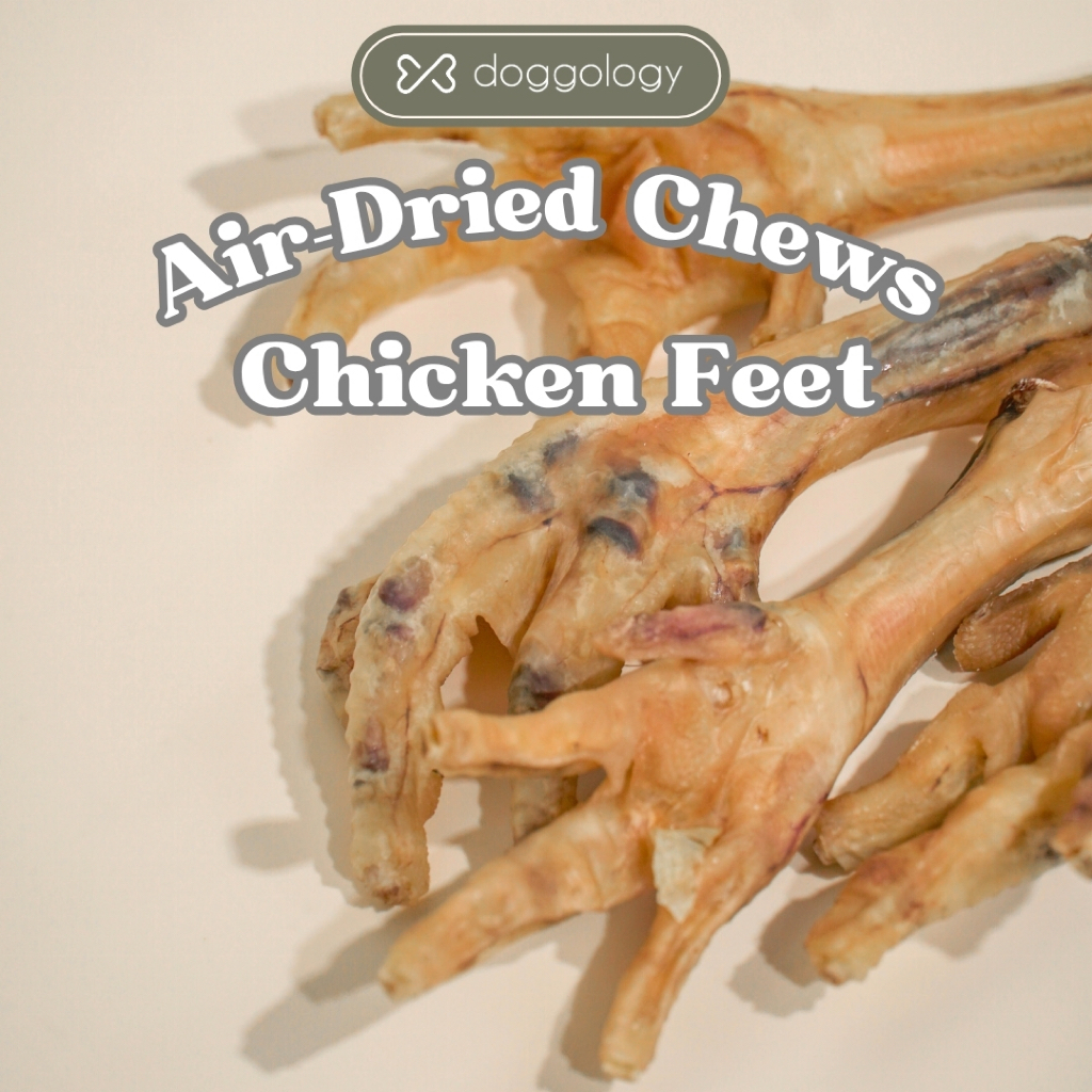 doggology | Chicken Feet 🍗 | Air-Dried Chews | Shopee Malaysia