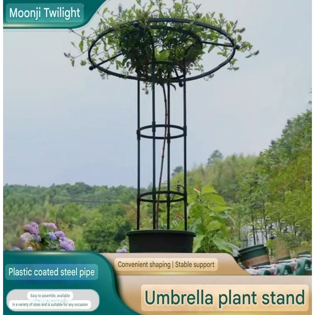 210cm Gardening Climbing Frame Plant Outdoor Rust-proof Durable Zinc ...