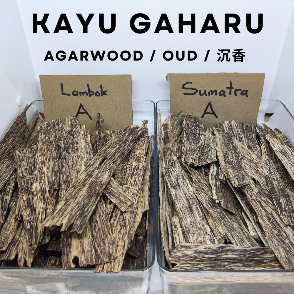 10g Kayu Gaharu Nipis Keping Asli Flat Agarwood Oud 沉香 Bukhoor | Shopee ...