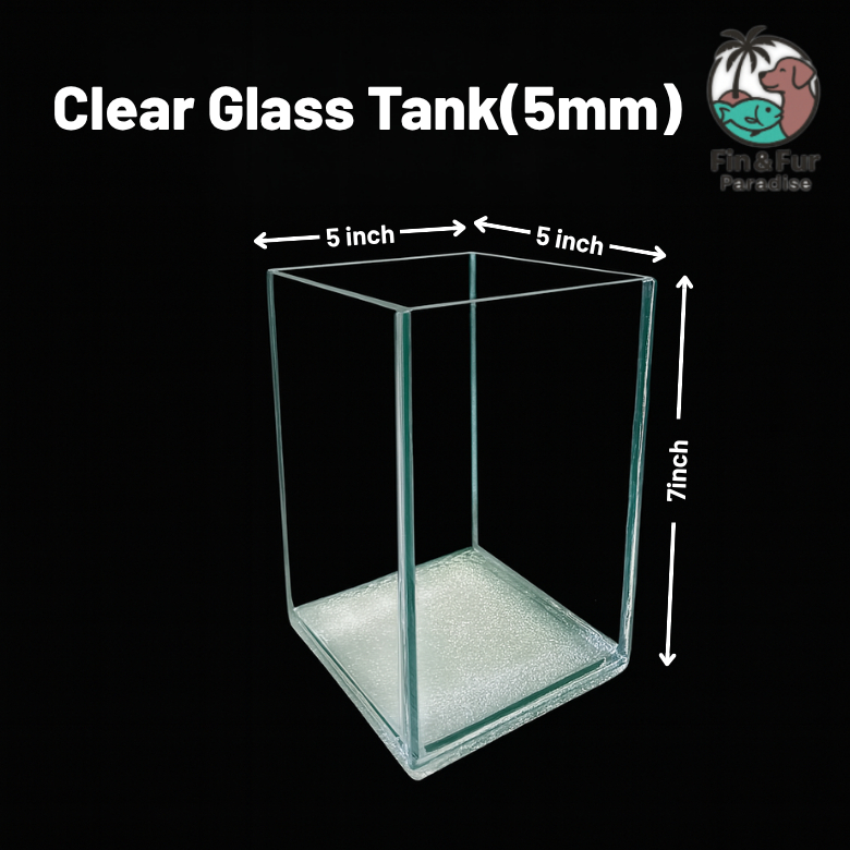 Clear Glass Aquarium Tank | 5mm Thick Glass | Mini Betta Shrimp Tank ...