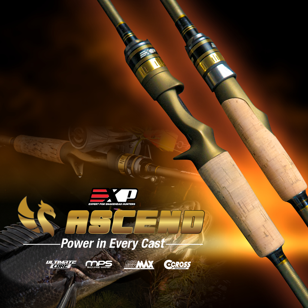 EXP ASCEND ROD 2 PCS Fishing Rod Medium Light Weight Bait Casting BC ...