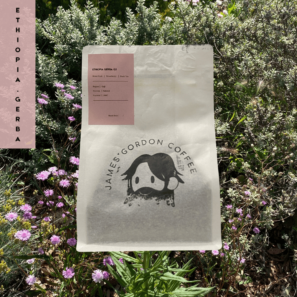 Ethiopia Gerba G3 Coffee Beans – Medium Roast | Single Origin Arabica ...
