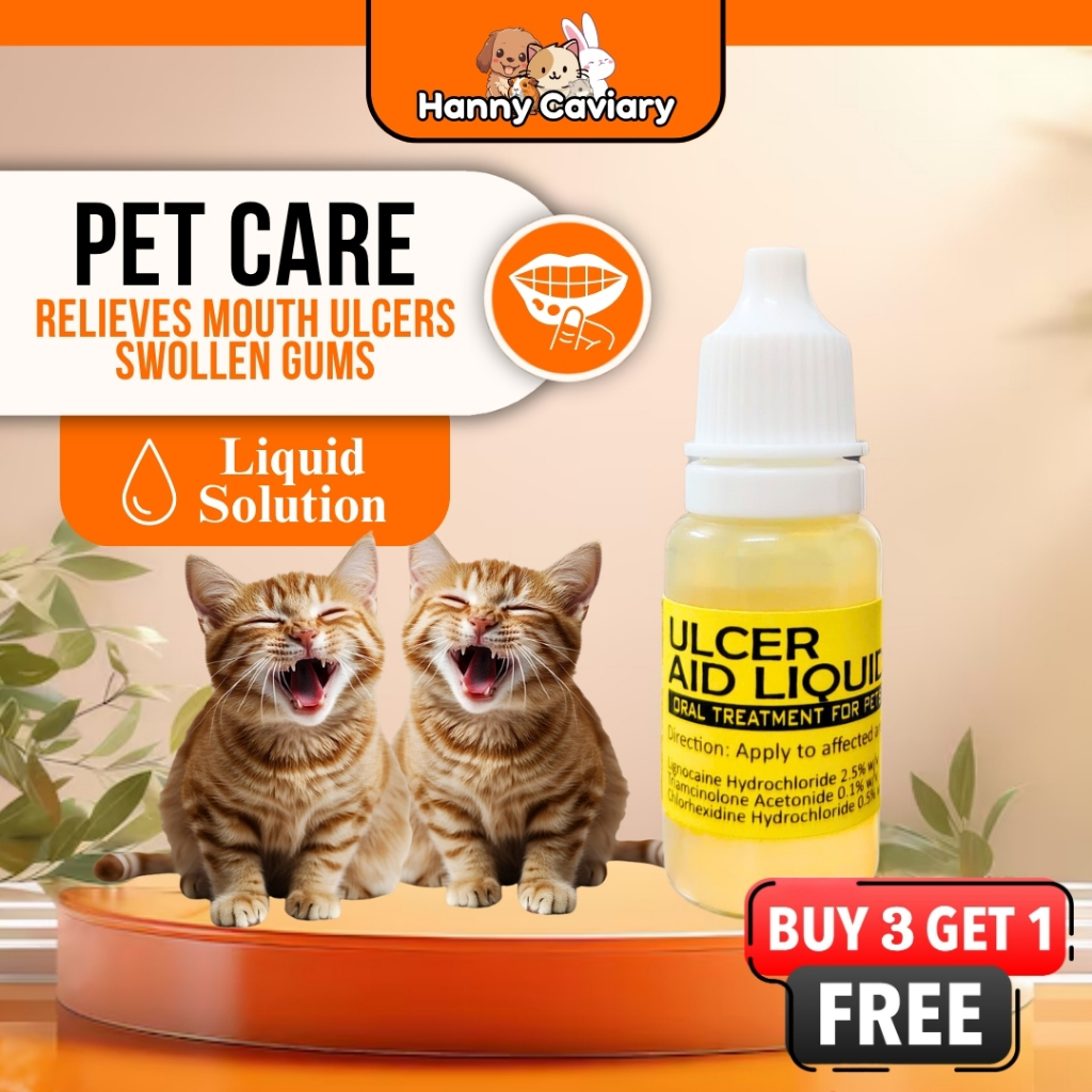 Eneroot Ulcer Aid Liquid – Oral Treatment for Pets (10ml) [Buy 3 Free 1 ...