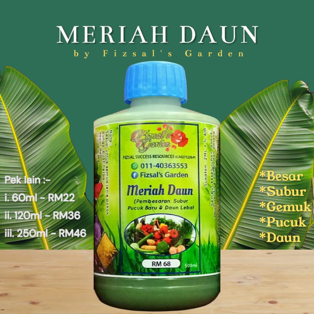 MERIAH DAUN - pucuk, daun lebat, subur, besar, gemuk | Shopee Malaysia