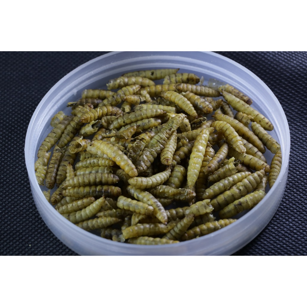 Dry Black Meal Worm Dry Black soldier fly larvae (BSFL) For arowana ...