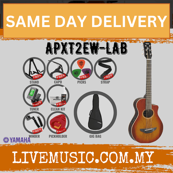 Yamaha APXT2EW 34" 3/4 Mango Wood Top Acoustic Electric Guitar With ...