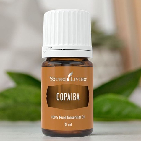 ORIGINAL YOUNG LIVINGS YL YLEO Copaiba Essential Oil Single 5ml Anti ...