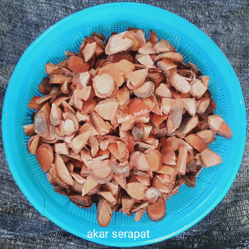 herba/akar kayu akar serapat(kepingan)💯semulajadi | Shopee Malaysia