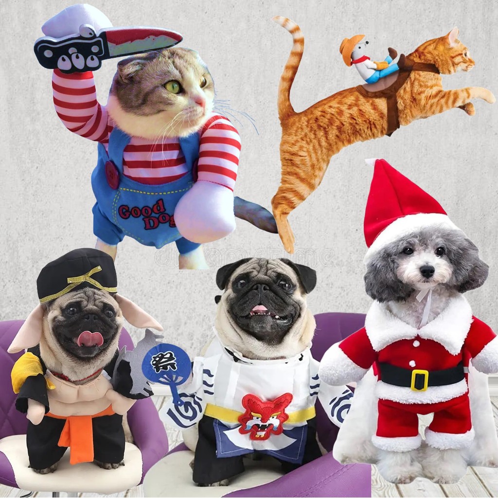 Chucky Funny Cat Costume - Baju Kucing Betina Jantan, Dog Cat Clothes ...