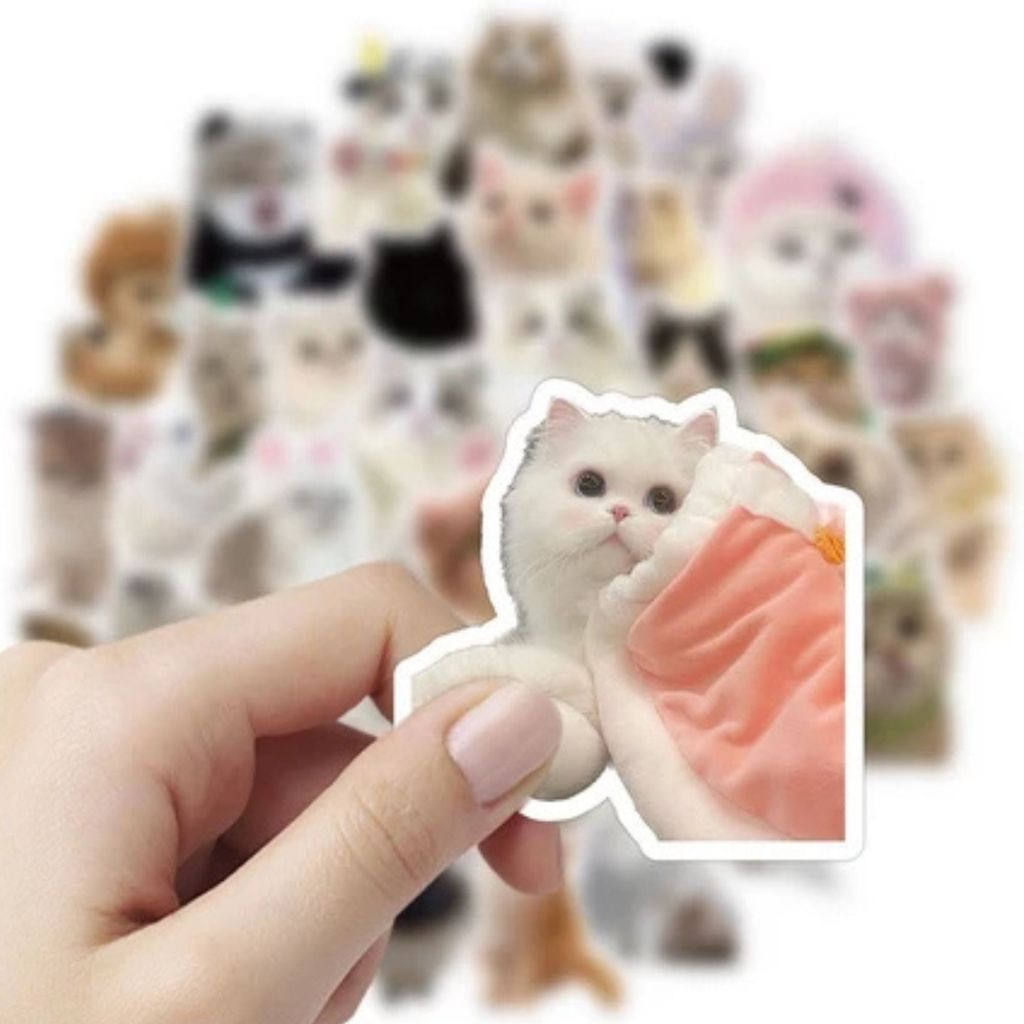 Kitty Meow Cat Cute 50pcs DIY Waterproof Non Repeating Stickers Pack ...