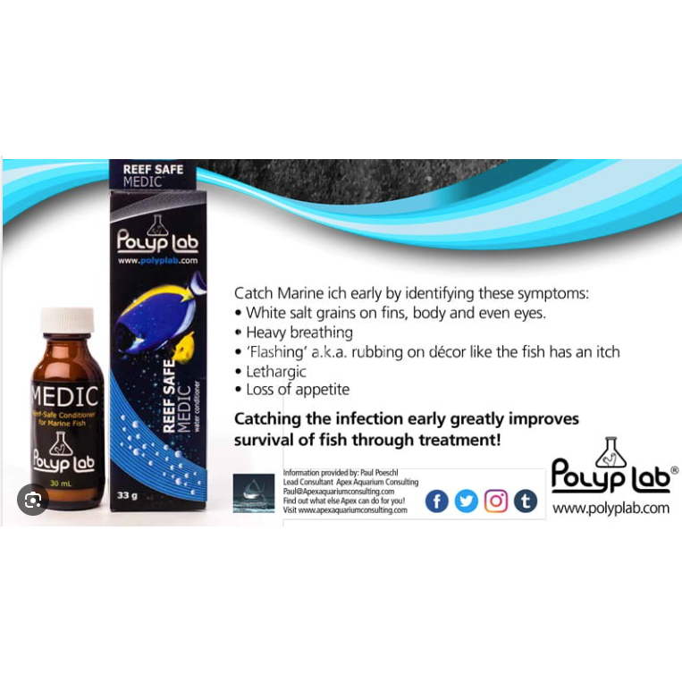 polyp lab polyplab medic reef safe aquarium white spot medicine ...