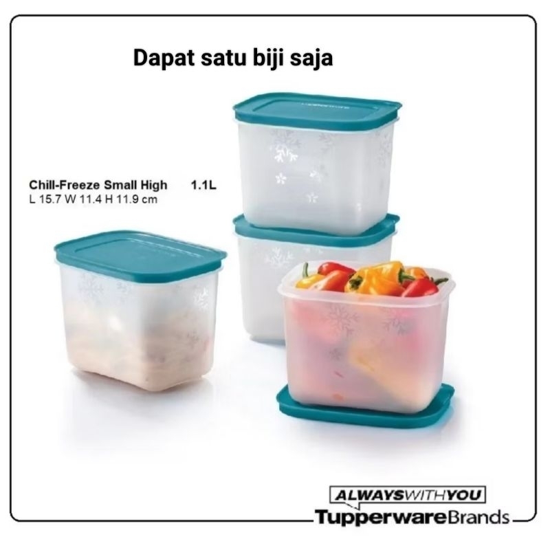 Tupperware Chill-Freeze Small High 1.1L(1) | Shopee Malaysia