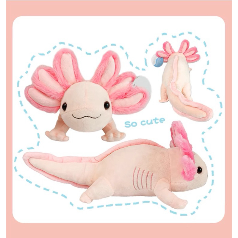 ⭐️Ready Stock⭐️有现货Axolotl Hex Salamander Doll Hug Sleeping Cute Fish ...