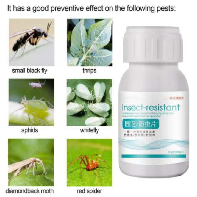 Plant Insect Resistant Tablets 40g Ubat Serangga Tumbuhan Saccharified ...