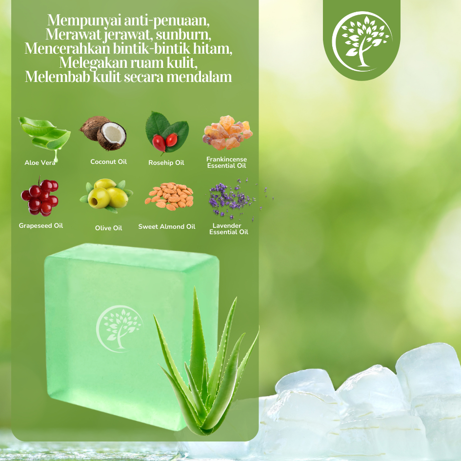 Natural Handmade Aloe Vera Face & Body Soap (Jerawat, Parut) Sabun Muka ...