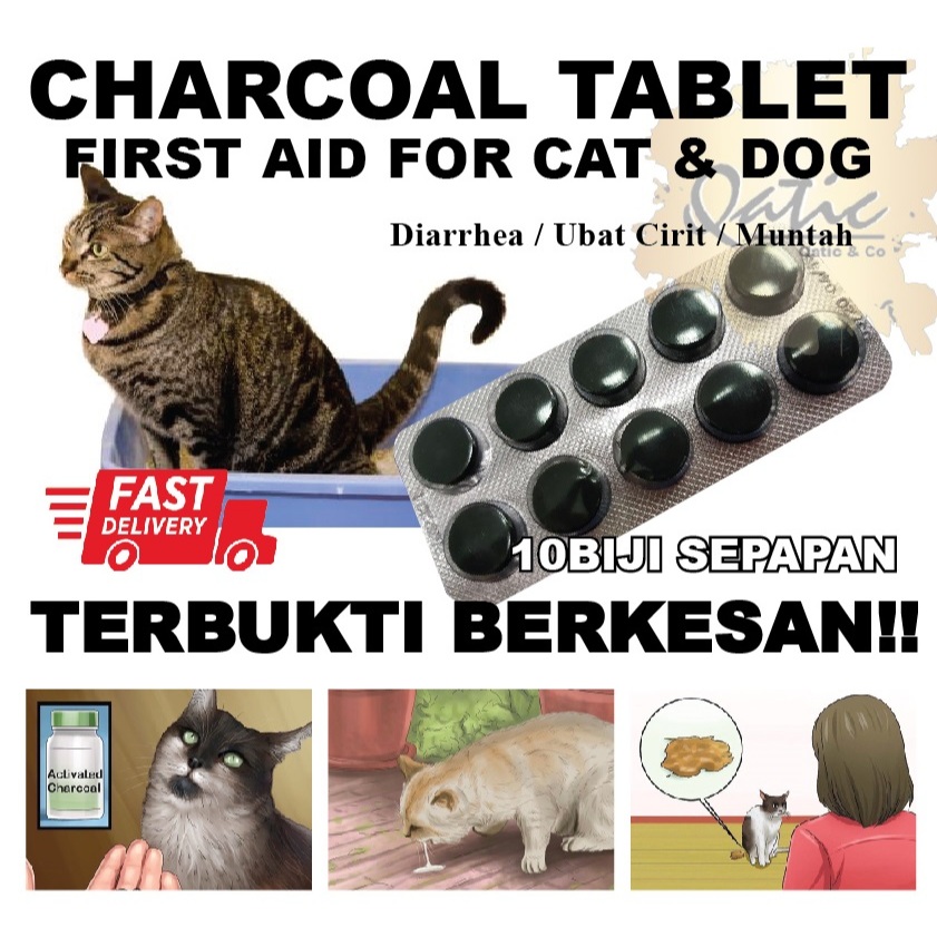 Ubat Cirit Birit / Muntah / Keracunan / Diarrhea Kucing & Anjing 5biji ...