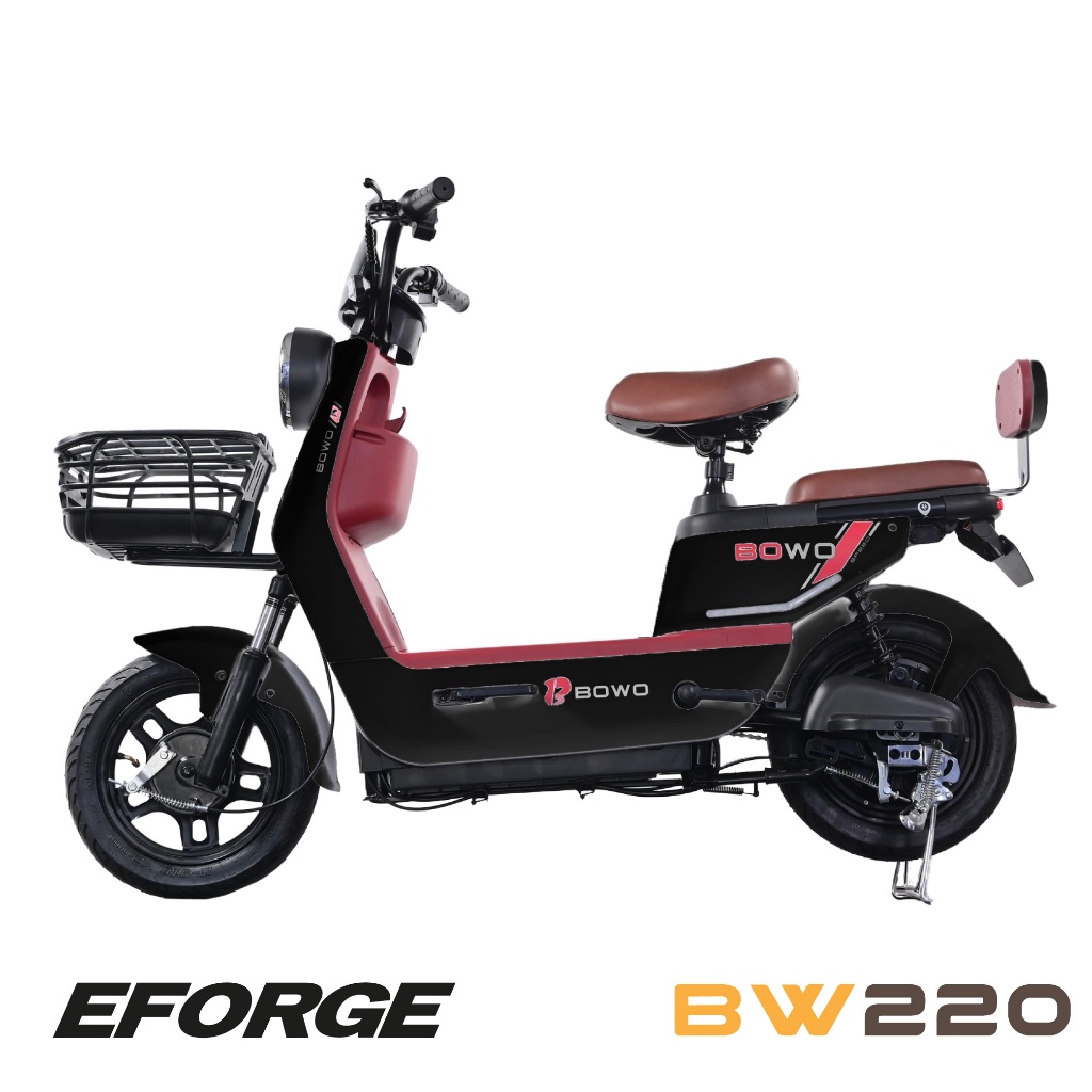 Electric Bike BW 220 | Shopee Malaysia