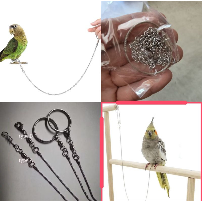 🔥Ready Stock🔥bird parrot foot leg ring flying rope accesories parrot ...