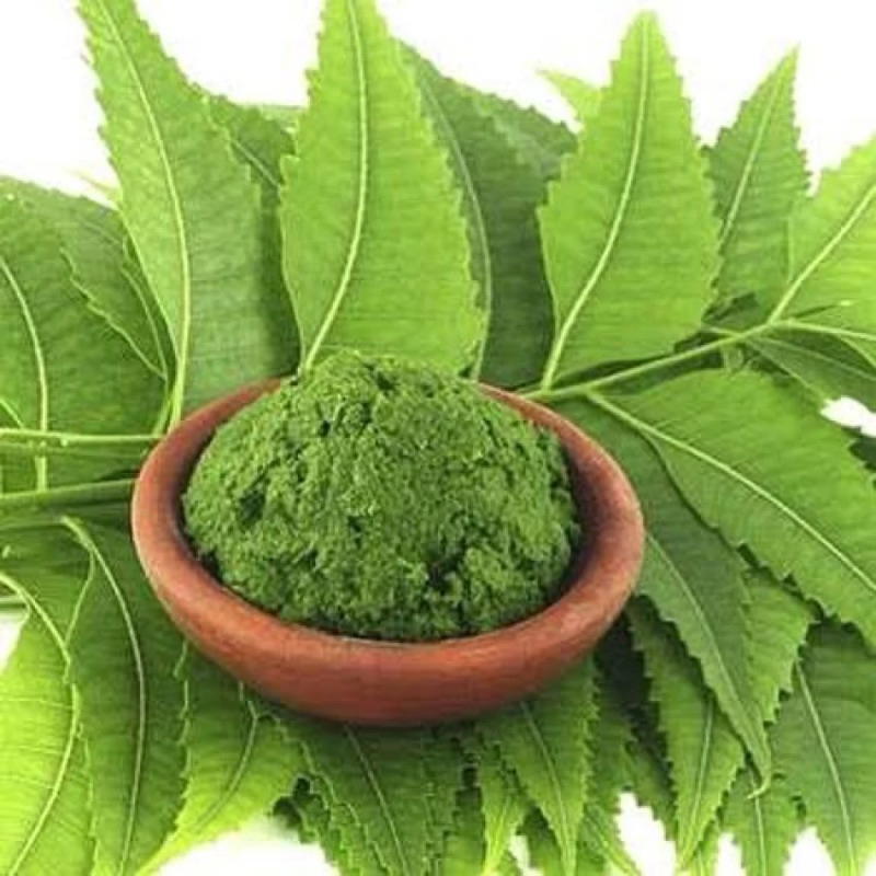 Neem leaves powder/ Serbuk Daun semambu | Shopee Malaysia