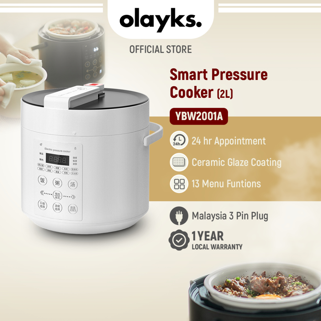 Olayks 2L Electric Pressure Cooker Dual Pots Rice Cooker 2 Pots Soup Cooker Porridge ...
