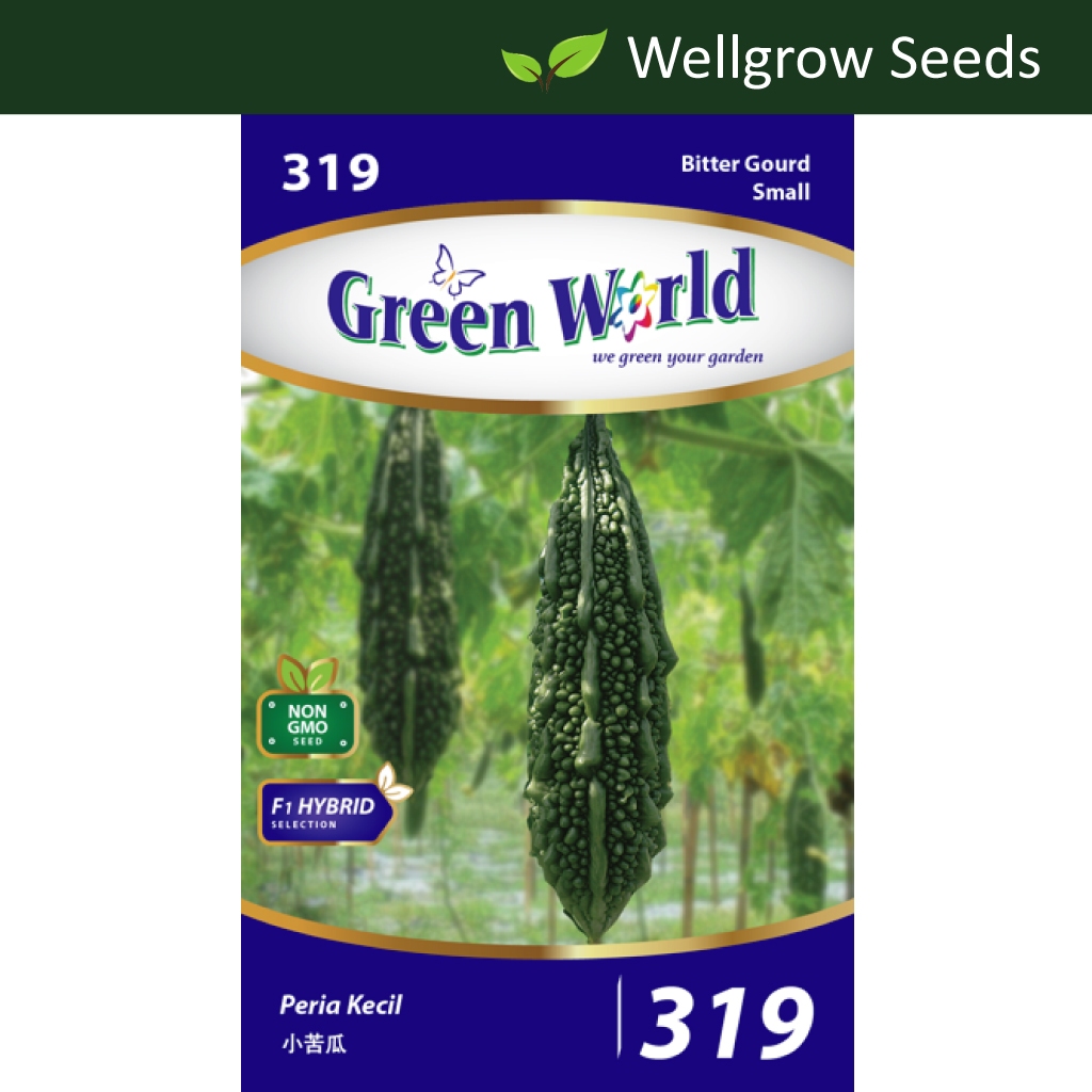 Gourd Bitter Small (10 seeds) 迷你绿宝石苦瓜 Biji Benih Peria Kecil Green ...