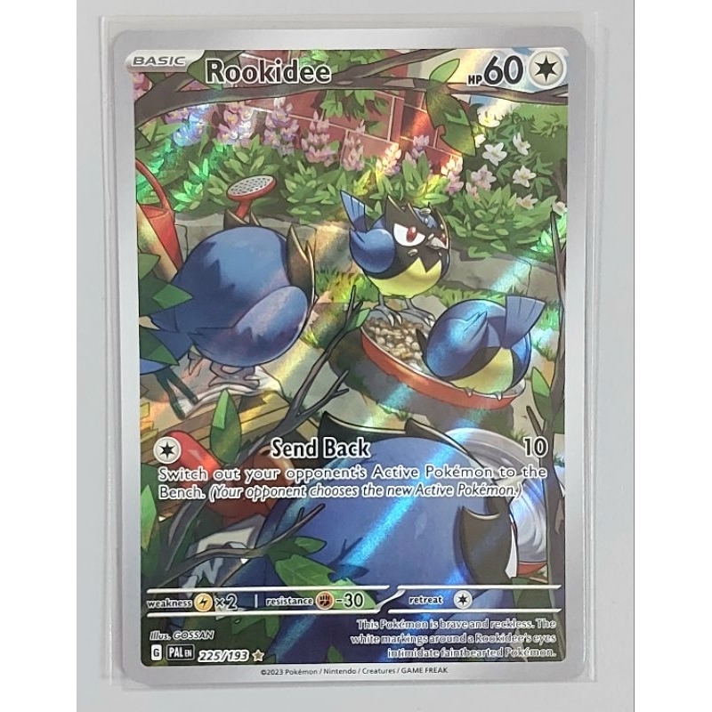 Pokemon TCG - Rookidee Paldea Evolved | Shopee Malaysia