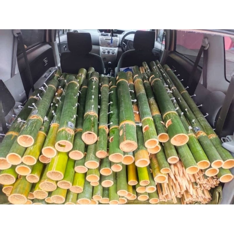 PELITA BULUH RAYA 4 SUMBU TIADA STAND | Shopee Malaysia
