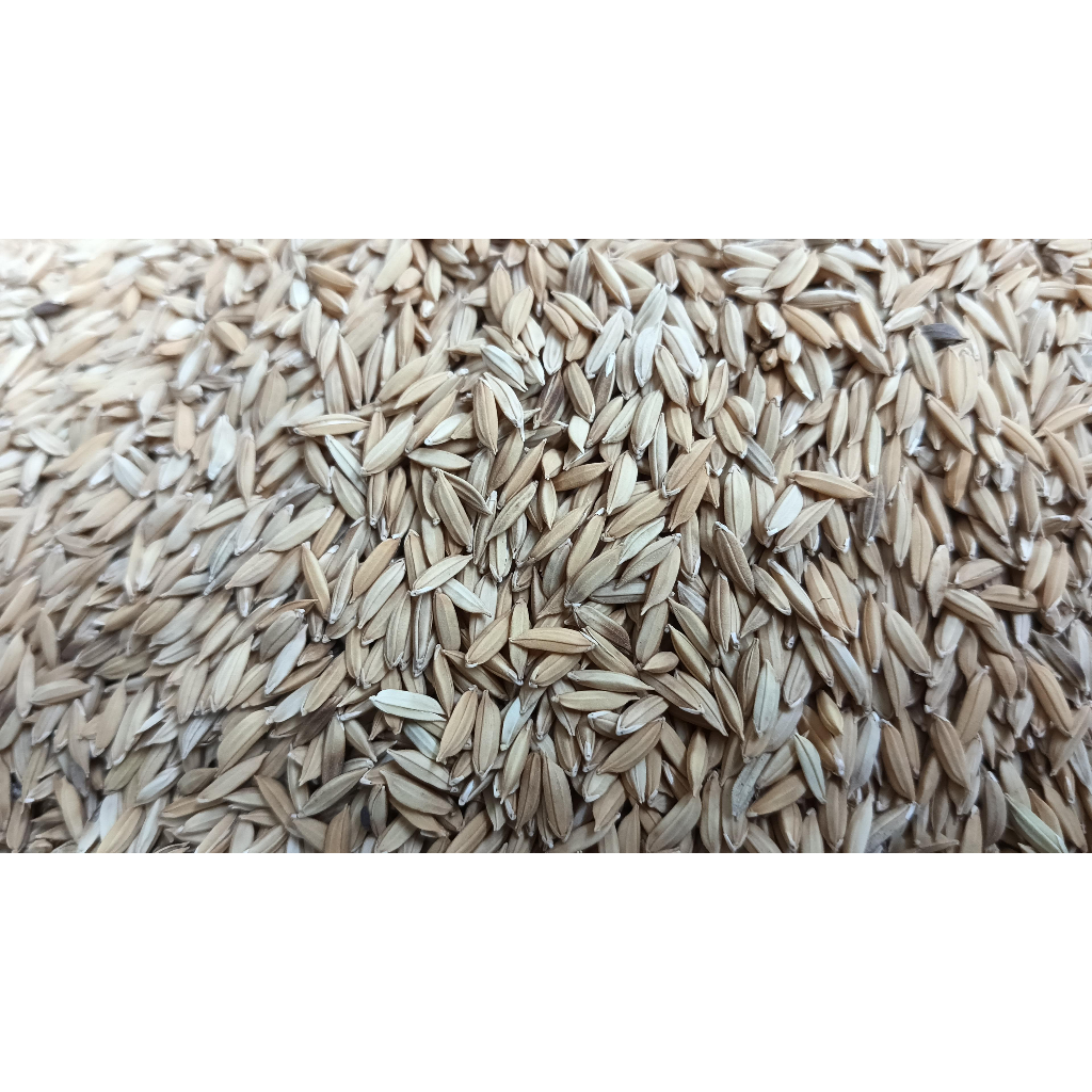 NEL / NELLU / RICE / PADDY / PADI / 1 KG /500 GM / 250 GM / ARISI ...