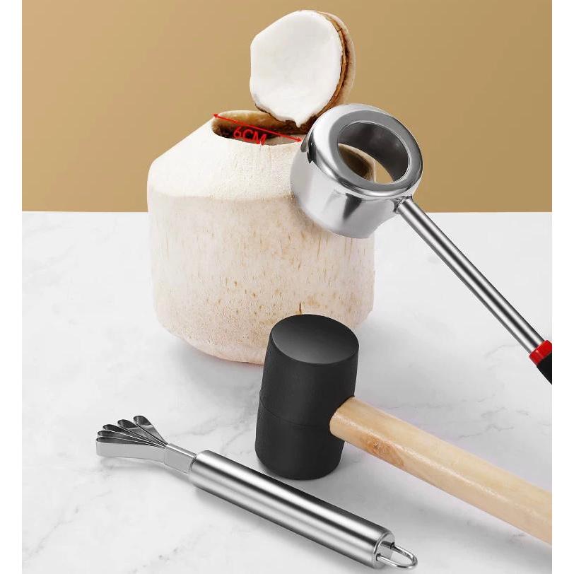 Stainless Steel Coco Opener Kit for Coconut Coconut Shell Puncher ...