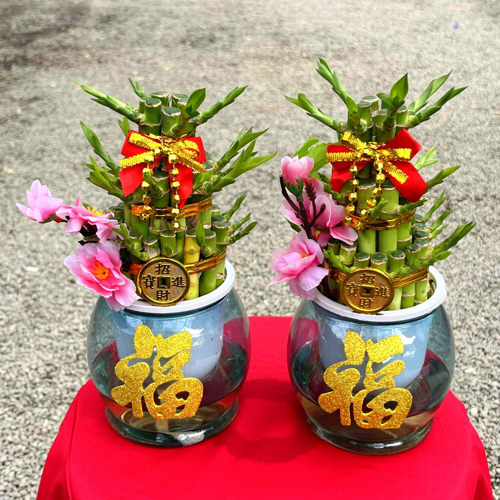 GPS Green Plant Society CNY 2025 Great Growing Bamboo Tower 25cm (Blue ...