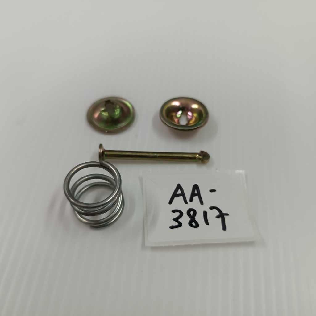(1SET AA-3817) (38mm & 17mm) BRAKE SHOE PIN KIT / BRAKE SPIKES | Shopee ...