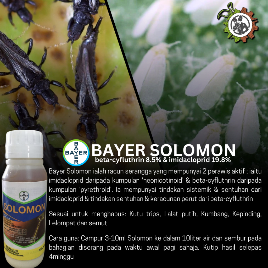 BAYER SOLOMON beta-cyfluthrin 8.5% & imidacloprid 19.8% RACUN SERANGGA ...