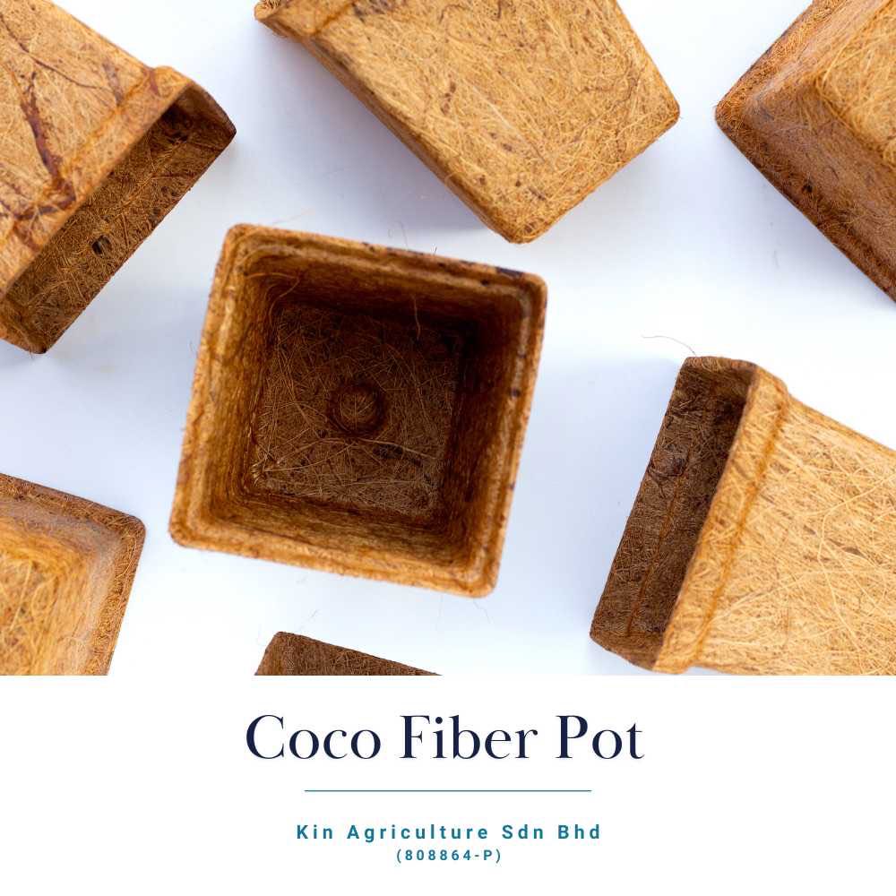 Coco Fiber Pot 椰丝盆 (Square/Round) | Shopee Malaysia