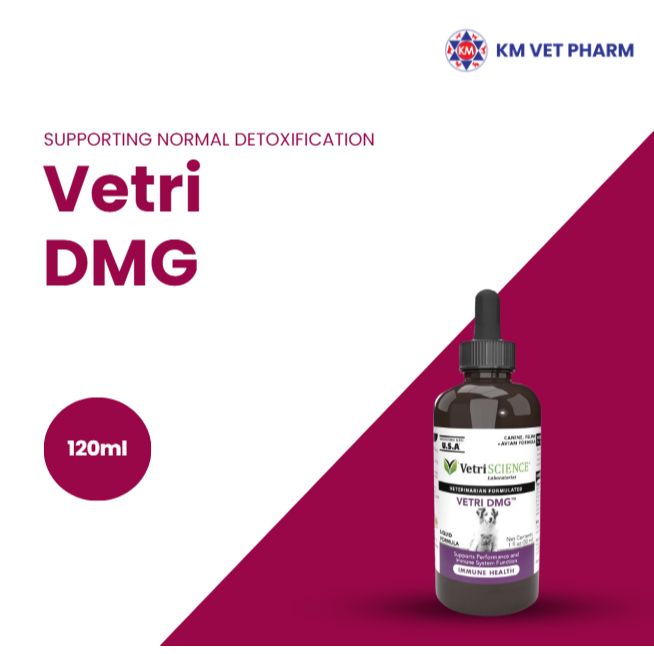Vetri Science Vetri DMG Liquid - 120ml | Shopee Malaysia