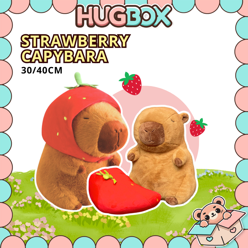 🌈HugBox Capybara Plushie Toy Cute Capybara Patung Capibara Capybara ...