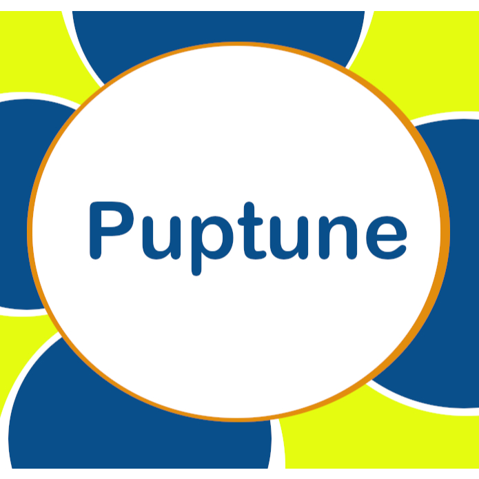 A.D.M - PUPTUNE IN TYPE S1 GAME EDITION (PC GAME) | Shopee Malaysia