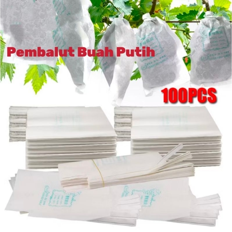 Pembalut Buah Putih & Coco Sarung Buah Harum Manis Pelam Mangga 50/100 ...