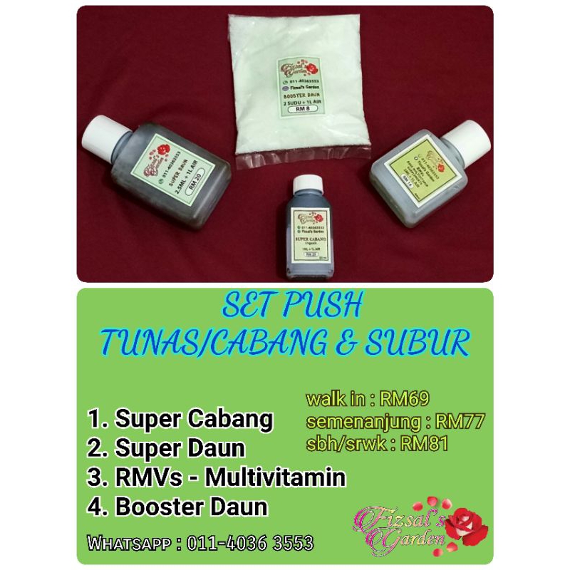SET PUSH TUNAS/CABANG & SUBUR - Bagi subur besar gemuk sihat cepat ...