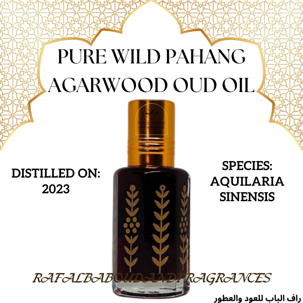 PURE WILD PAHANG AGARWOOD OUD OIL, AQUILARIA SINENSIS. MINYAK GAHARU ...