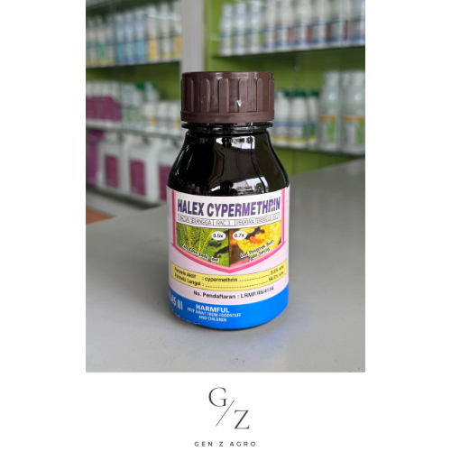 (250ml) Halex Insecticide Halex Cypermethrin (Cypermethrin 5.5% ...